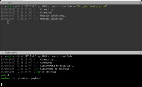 How To Process Json Hex And Binary Data In Mqtt Emq