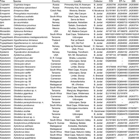 Genbank Accession Numbers Of The Dna Sequences Used In The Phylogenetic Download Scientific