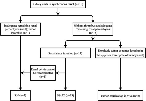 Flow Chart Of Surgical Strategy Download Scientific Diagram