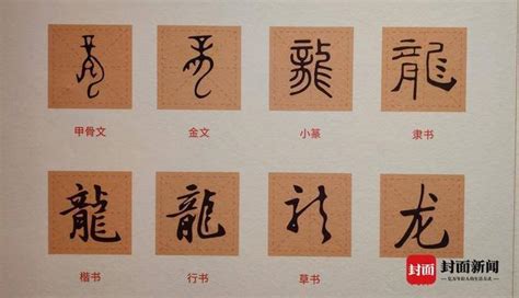 解“龙”字：龍是怎样变成龙的？｜话龘事儿① 甲骨文 新浪新闻