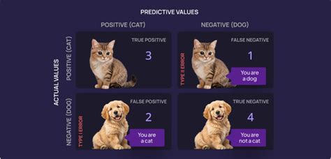 Akridata Visioncopilot For Data Inspection And Quality