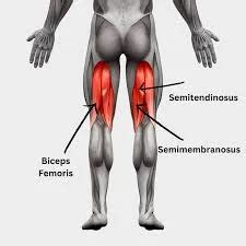 Principles Of Balance Training Exercises Benefits
