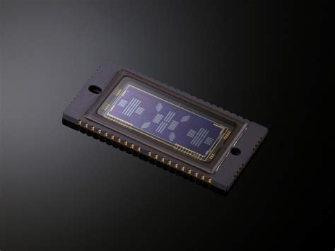 Phase Detection Vs Contrast Detection Autofocus