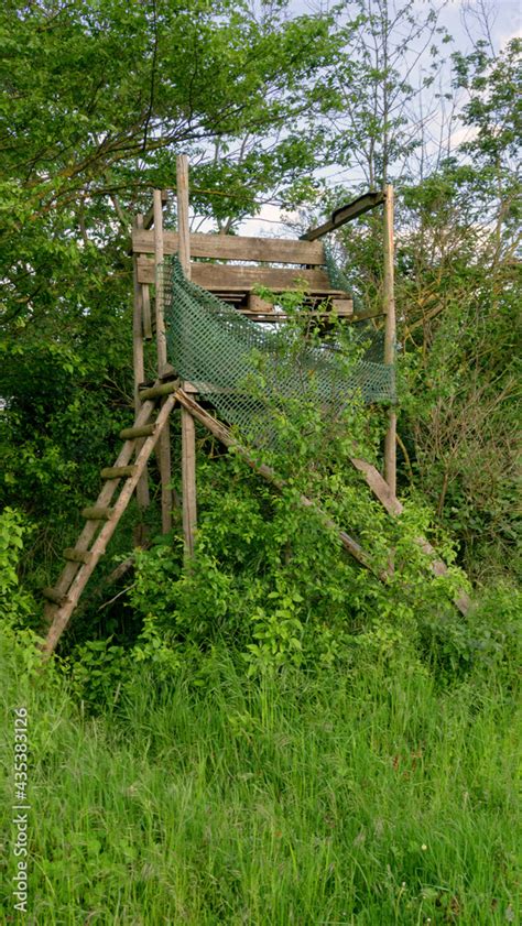 Lookout Wooden Ladder Seat Also Known As Hunter S Seat Hunter S High Seat Between The Trees In