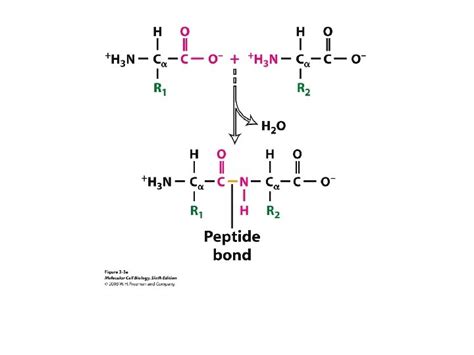 Lecture 4 Barometric Formula And The Boltzmann Equation