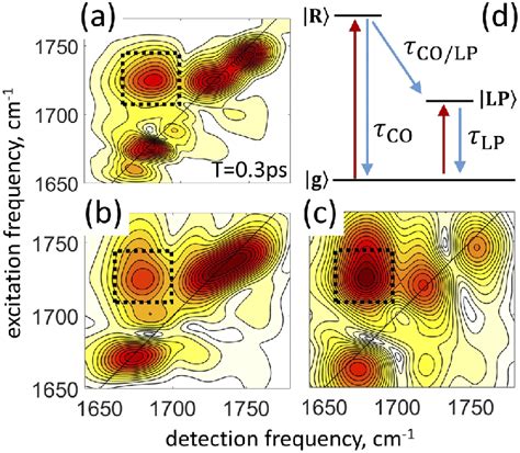 2dir Spectroscopy Of Vibrational Polaritons The Absolute Value