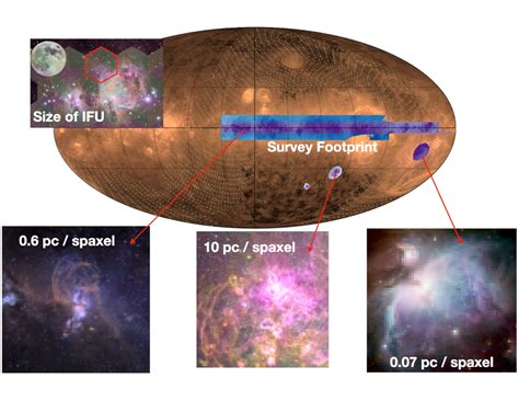 Mapping Everything Everywhere All At Once Sdss