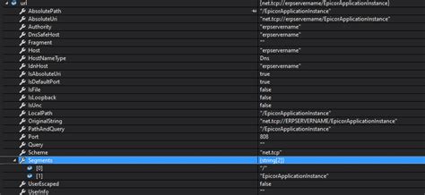 Referencing The Epicor Server Host Name Session Variable Within A Form Customization Epicor