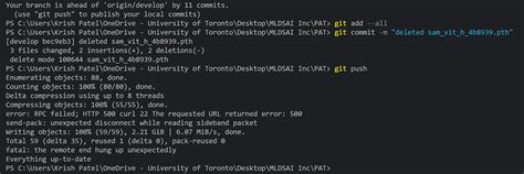 unable to git push my local commits to my remote branch · issue 86