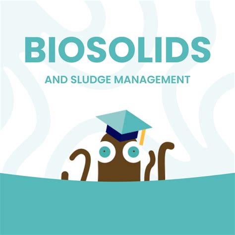 Sludge And Biosolid Management Trainings Octopus