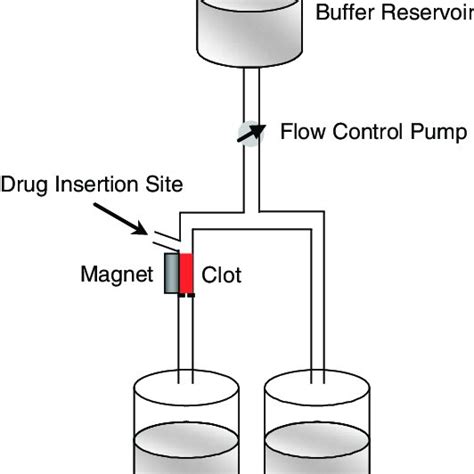 Schematic Diagram Of Dynamic Flow Model To Evaluate Thrombolysis