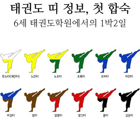 6세 아이의 태권도 합숙 태권도 띠 색깔 순서 정보 네이버 블로그