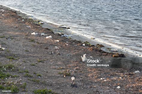 다양한 쓰레기와 더러운 모래 해변에 남아있는 플라스틱 병 0명에 대한 스톡 사진 및 기타 이미지 0명 가방 금속 Istock