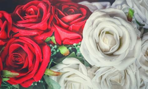 장미는 사랑의 날 인 발렌타인 데이를 나타냅니다 텍스트 및 로고를 쓰는 데 사용 됩니다 2명에 대한 스톡 사진 및 기타 이미지 2명 30 39세 기념일 Istock