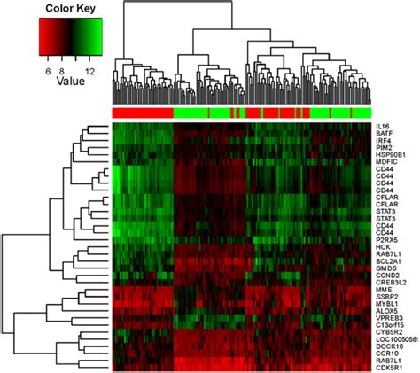 IRF4 Associated Gene Expression Pattern In Lymphomas The GEO Dataset