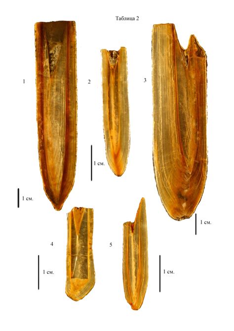 Ветераны юрских сражений