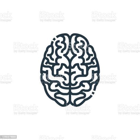 뇌 벡터 아이콘 뇌 편집 가능한 뇌졸중 웹 및 모바일 앱 로고 인쇄 매체에 사용하기 위한 두뇌 선형 기호입니다 얇은 선 그림 벡터 격리 된 윤곽선 도면입니다 개발에 대한
