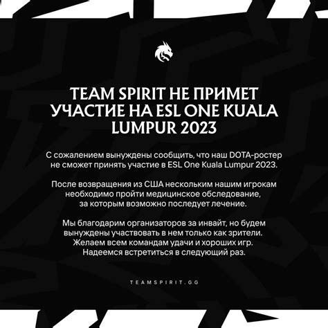 Team Spirit Ti Dota Cq