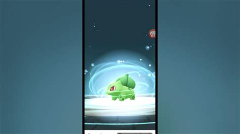 이상해씨 진화 Youtube