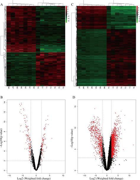Genome Wide Analysis Of Long Noncoding Rna And Mrna Co Expression