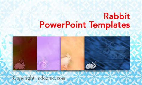 Rabbit Powerpoint Templates