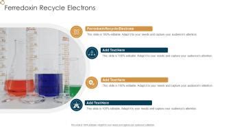 Ferredoxin Recycle Electrons In Ppt Powerpoint Presentation Slide Templates Cpp PPT Slide