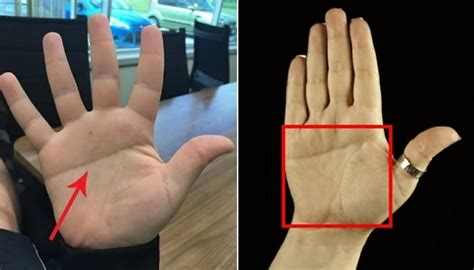 손바닥 펼쳤을 때 수평선 일자 모양의 손금이 선명하게 그려져 있다면 환호성부터 질러도 좋다