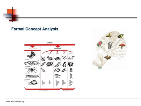 Formal Concept Analysis