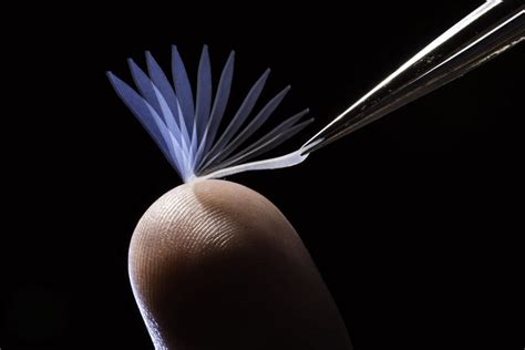 Shaping Shape Memory Achieving Active Control Of Polymer Shape Advanced Science News