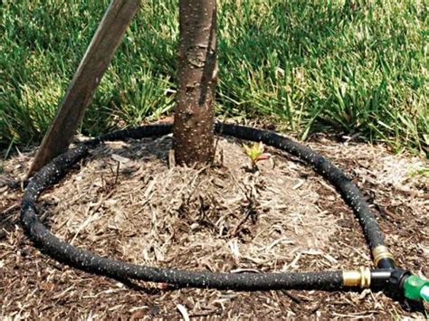 Soaker Hose Drip Irrigation Tree Ring Garden Center Point