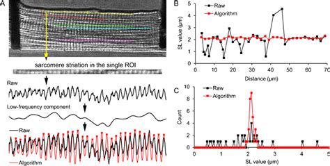 The Implementation Of The Custom Made Algorithm Designed For