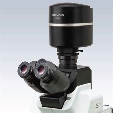 Olympus Microscope Camera Usb At Eunice King Blog