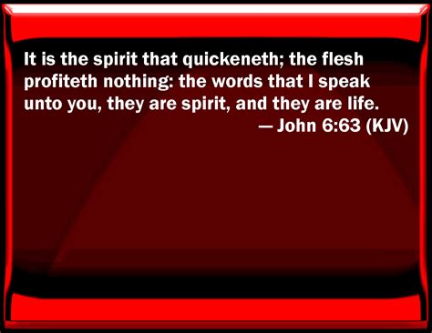 John 663 It Is The Spirit That Vivifies The Flesh Profits Nothing