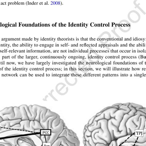 3 Brain Regions Involved In Implicit And Explicit Detection Of