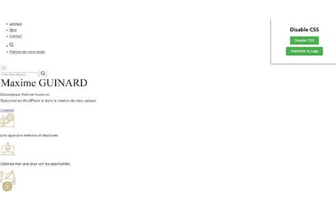 Disable CSS para Google Chrome Extensión Descargar