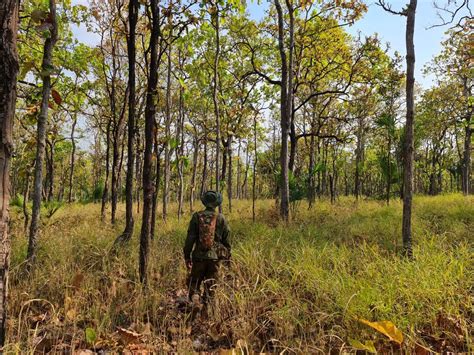 ដែនជម្រកសត្វព្រៃស្រែពក ខេត្តមណ្ឌលគិរី ប្រទេសកម្ពុជា ក្រសួងបរិស្ថាន