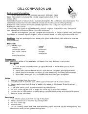 Exploring Cell Similarities And Differences Through Microscope Course Hero