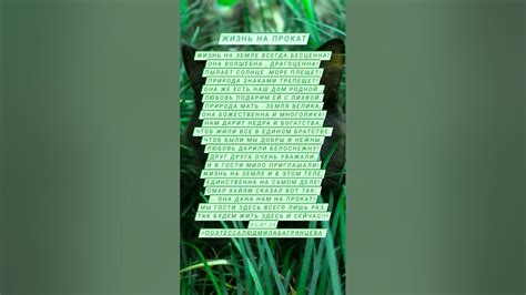 ЖИЗНЬ НА ПРОКАТ #поэтессаЛюдмилаБагрянцева - YouTube