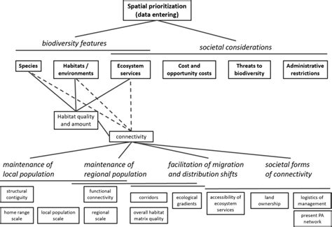 Position Of Connectivity In Spatial Prioritization Ecological Download Scientific Diagram