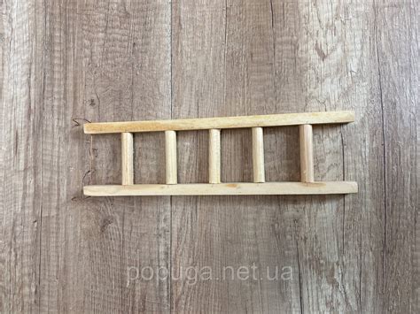 Купить Деревянная лесенка для попугаев, 31 см, цена 70 ₴ — Prom.ua (ID ...