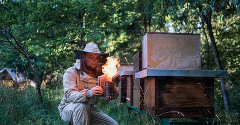 양봉장에서 일하는 남자 양봉가의 정면 초상화 꿀벌 흡연자를 사용하여 사진 Unsplash의 꿀벌 의상 이미지