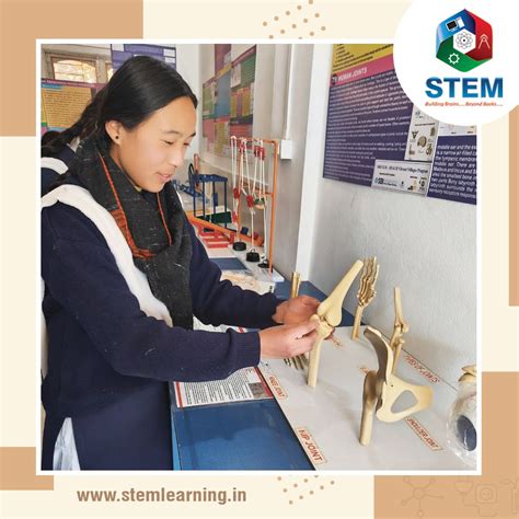 scienceeducation interactivelearning sbifoundation educationforall