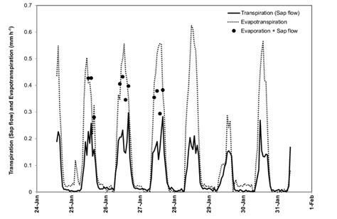 Comparison Of Hourly Values Mm H 1 Of Evapotranspiration Estimated Download Scientific