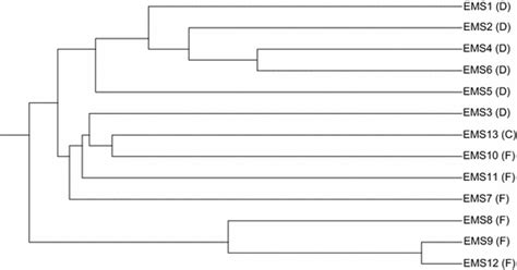 Dendrogram Obtained Via The Upgma Method Based On 10439 Snp Markers