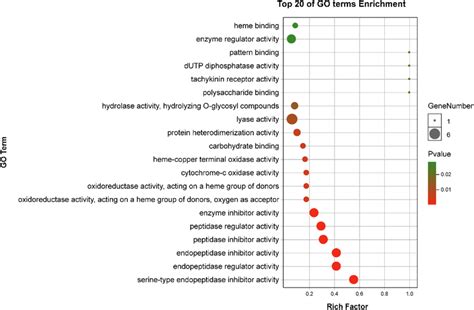 Top 20 Enriched Go Terms Related To Degs In The Molecular Function