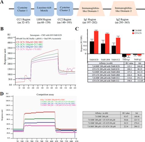 Synthetic Derivatives Bind To Trkb Receptor In Biacore Assay A The