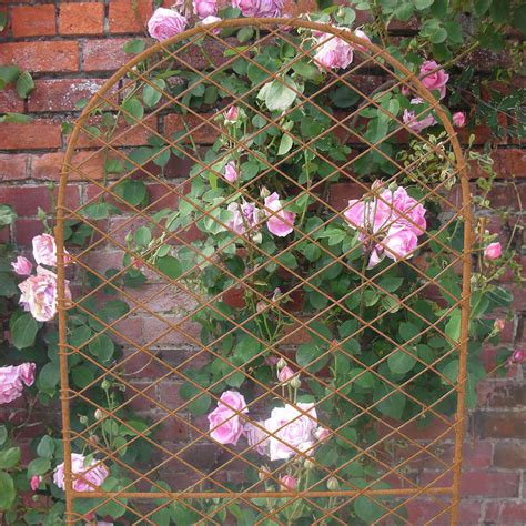 Round Elegance Trellis Garden Trellis Agriframes Agriframes Uk