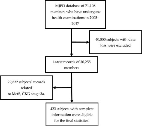 Subject Identification Process Download Scientific Diagram