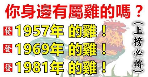 你身邊有屬雞的嗎？一生一世的命運 Peekme