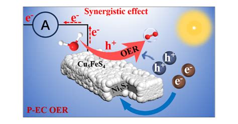 Synergistic Coupling Of Charge Extraction And Sinking In Cu5fes4ni3s2nf For Photoassisted